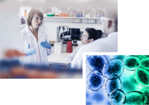 ProCel®: Biopharma solutions from fermentation - Procelys by Lesaffre