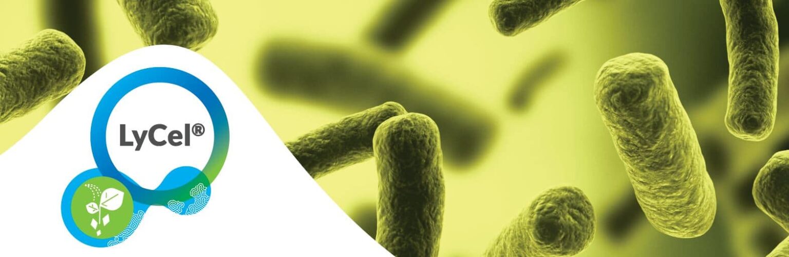 Procelys by Lesaffre: Yeast-based nutrients for biotech industry