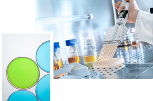 NuCel®: Application of fermentation in food industry - Procelys by Lesaffre