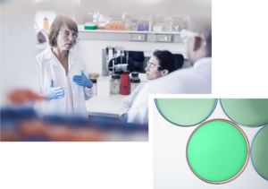 LyCel®: Biocontrol solutions from fermentation - Procelys by Lesaffre