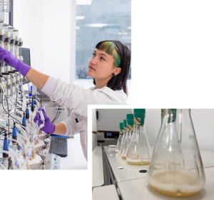 ProCel®: Biopharma microbiome applications - Procelys by Lesaffre