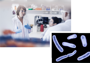 ProCel®: Biopharma microbiome applications - Procelys by Lesaffre