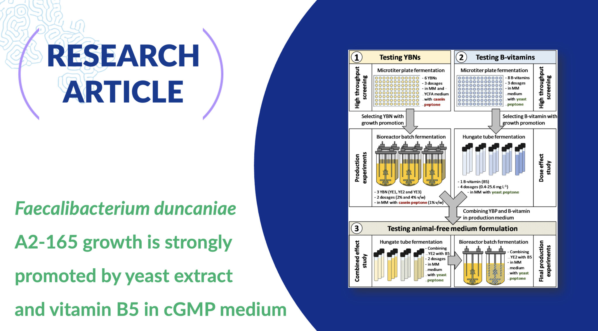 Procelys by Lesaffre: Yeast-based nutrients for biotech industry
