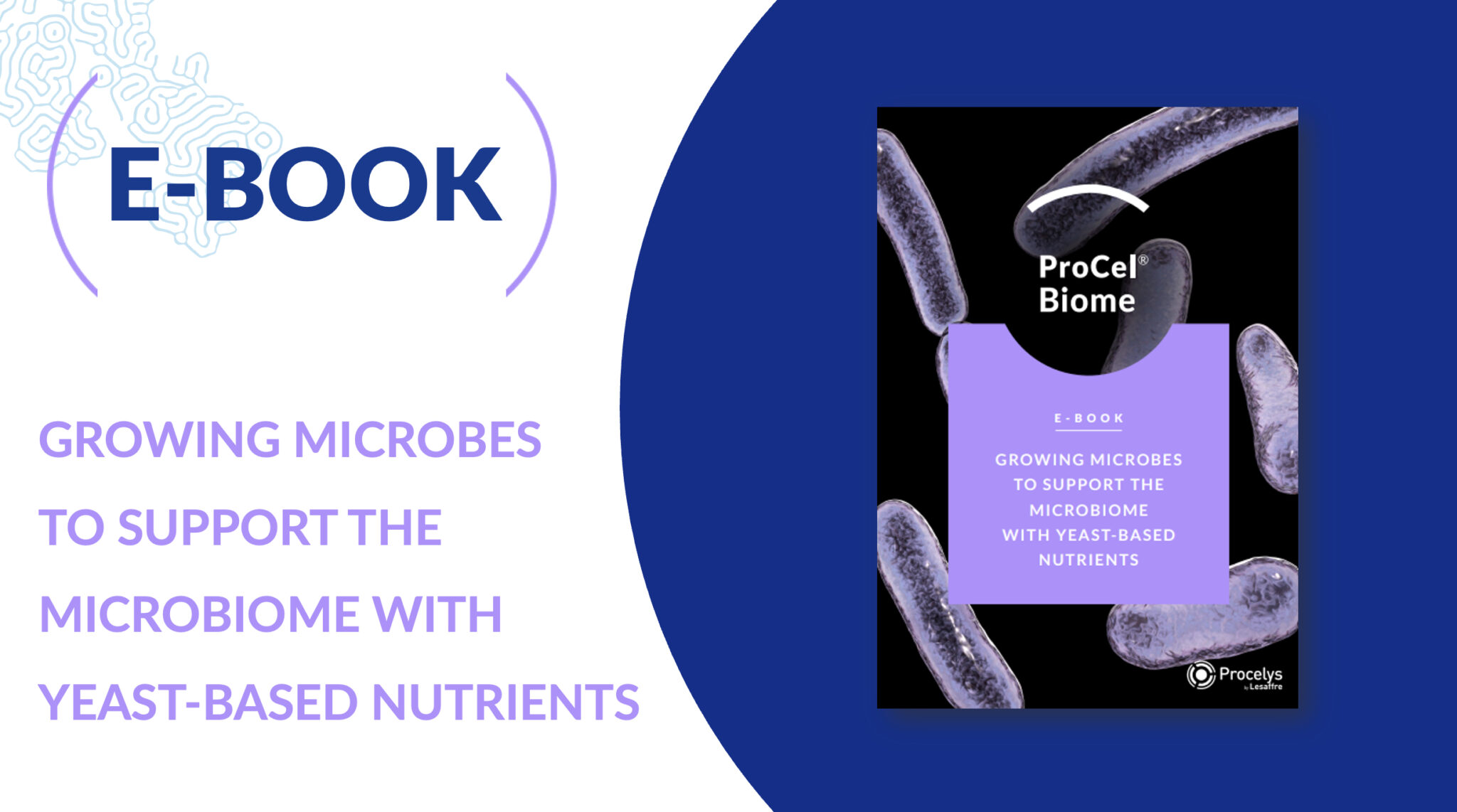 Procelys by Lesaffre: Yeast-based nutrients for biotech industry