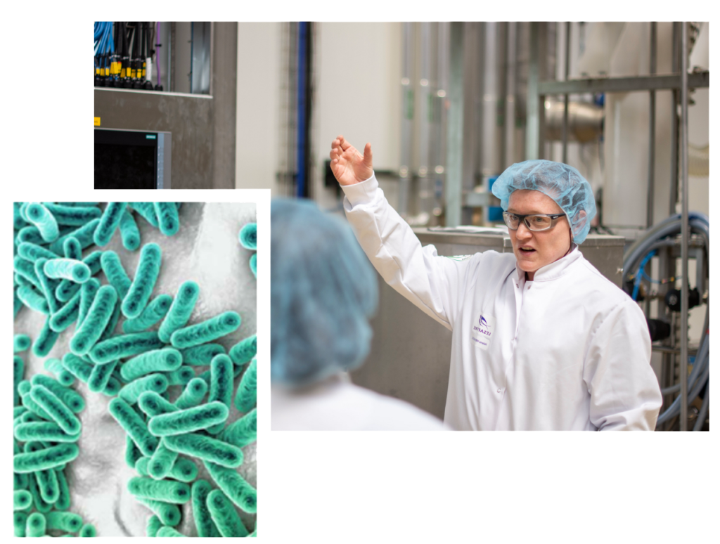 Cell Culture & Microbial Fermentation Applications – Procelys by Lesaffre