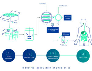 Procelys by Lesaffre: Yeast-based nutrients for biotech industry
