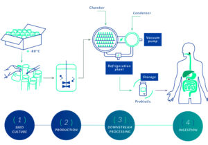 Yeast Peptones: A Key Fermentation Nutrient in the Biotechnology ...